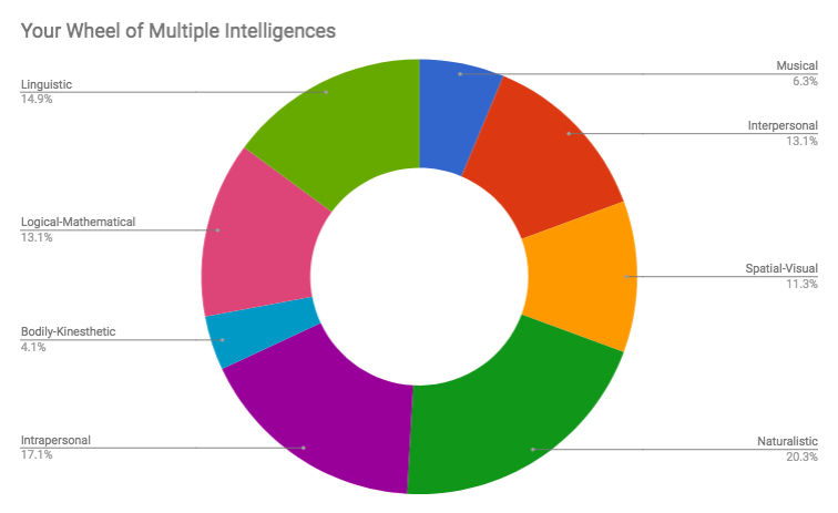 There's More Than One Intelligence. Discover All Of Them